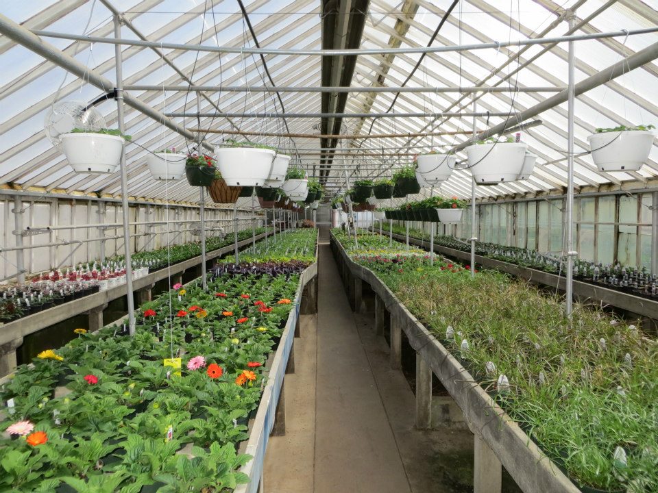 Greenhouse In Lockridge Iowa at Brandi Hayes blog